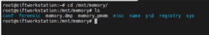 Mounting memory with MemProcFS for advanced memory forensics | Pen Test ...