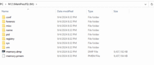 Mounting memory with MemProcFS for advanced memory forensics | Pen Test ...